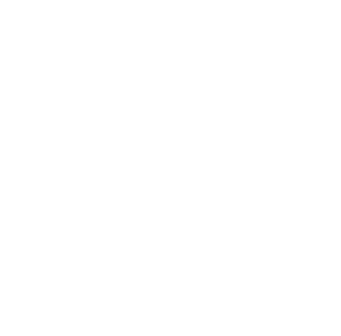 NALEO | VOTE411